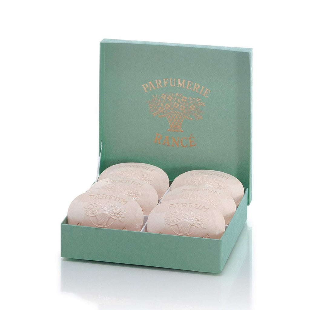 Rance Soaps Corylopsis Soap Box | Oak Manor Fragrances